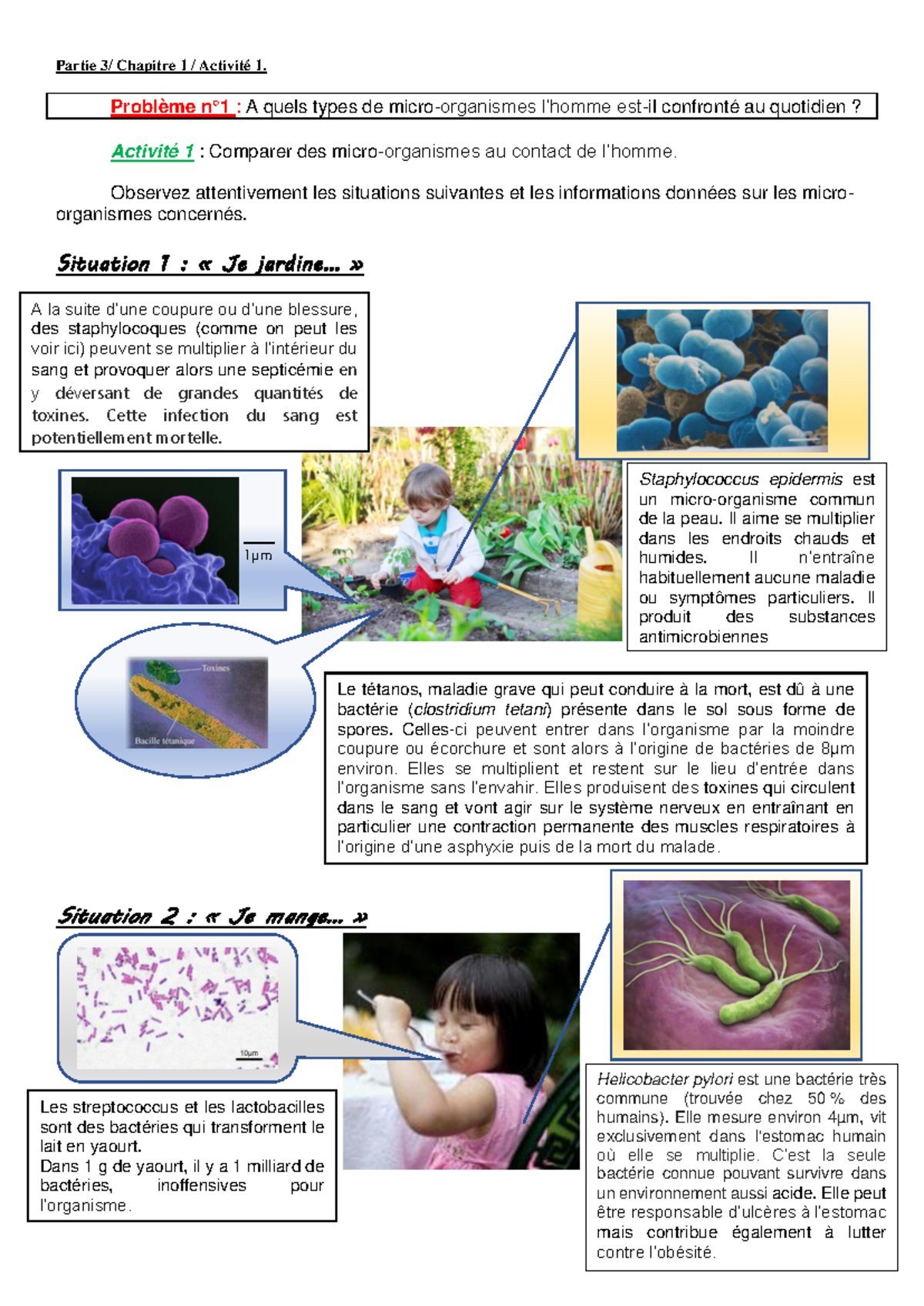 Activité 1 : Découverte des Microbes et de leurs Effets Quotidiens ...
