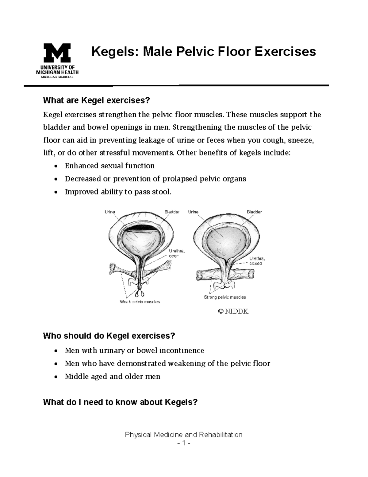 Male Kegel Exercises: A Guide to Strengthening Pelvic Floor Muscles ...