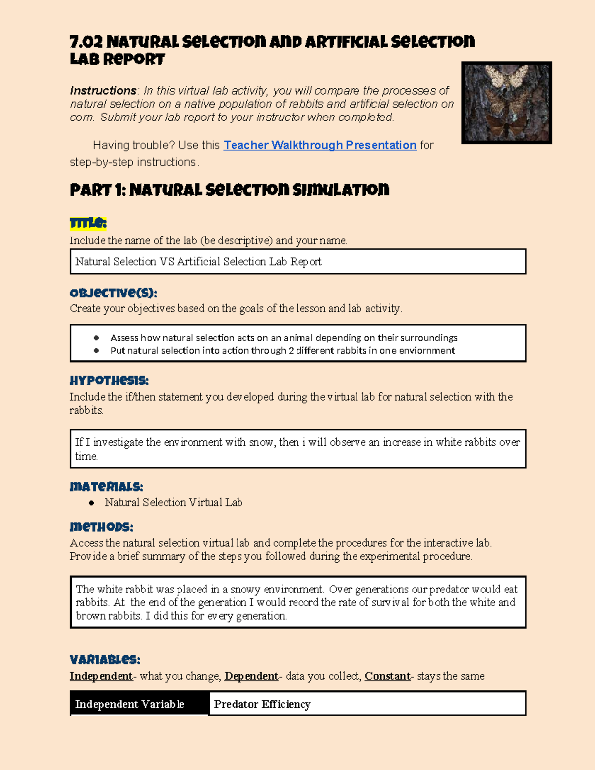7.02 Natural Selection vs. Artificial Selection Lab Report Instructions ...
