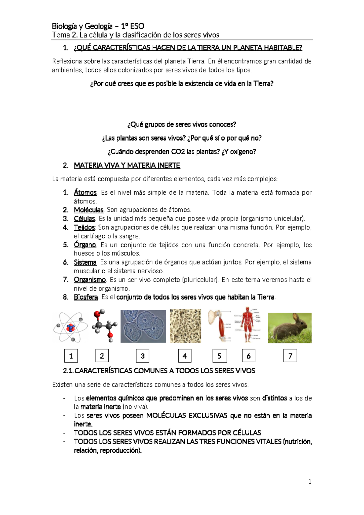TEMA 2. La célula y la clasificación de los seres vivos - Tema 2. La ...