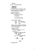 PHYS 1211 - UGA - Prin Of Physics For Scie Engr - Studocu