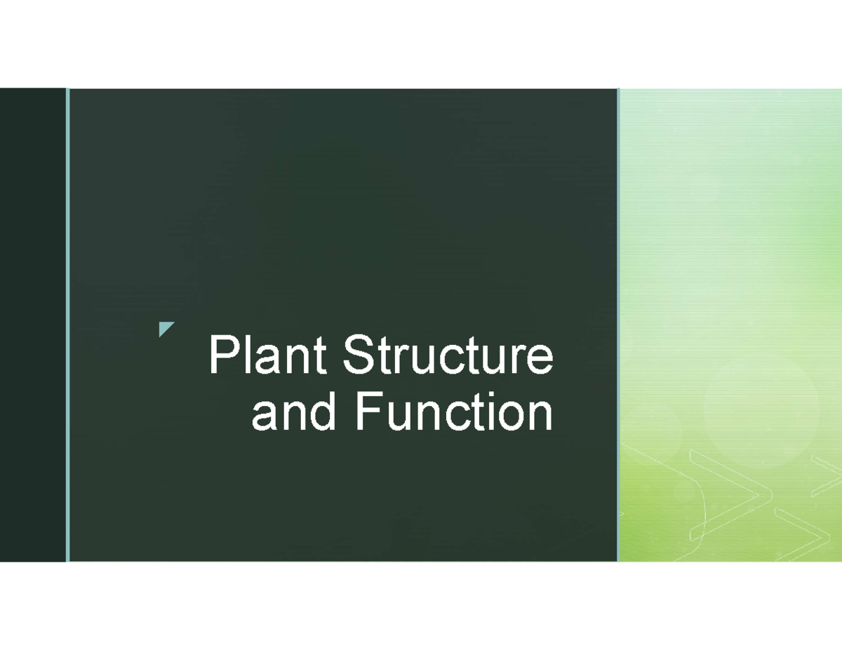 Plant Structure and Function: An Overview (Biology 101) - z Plant ...