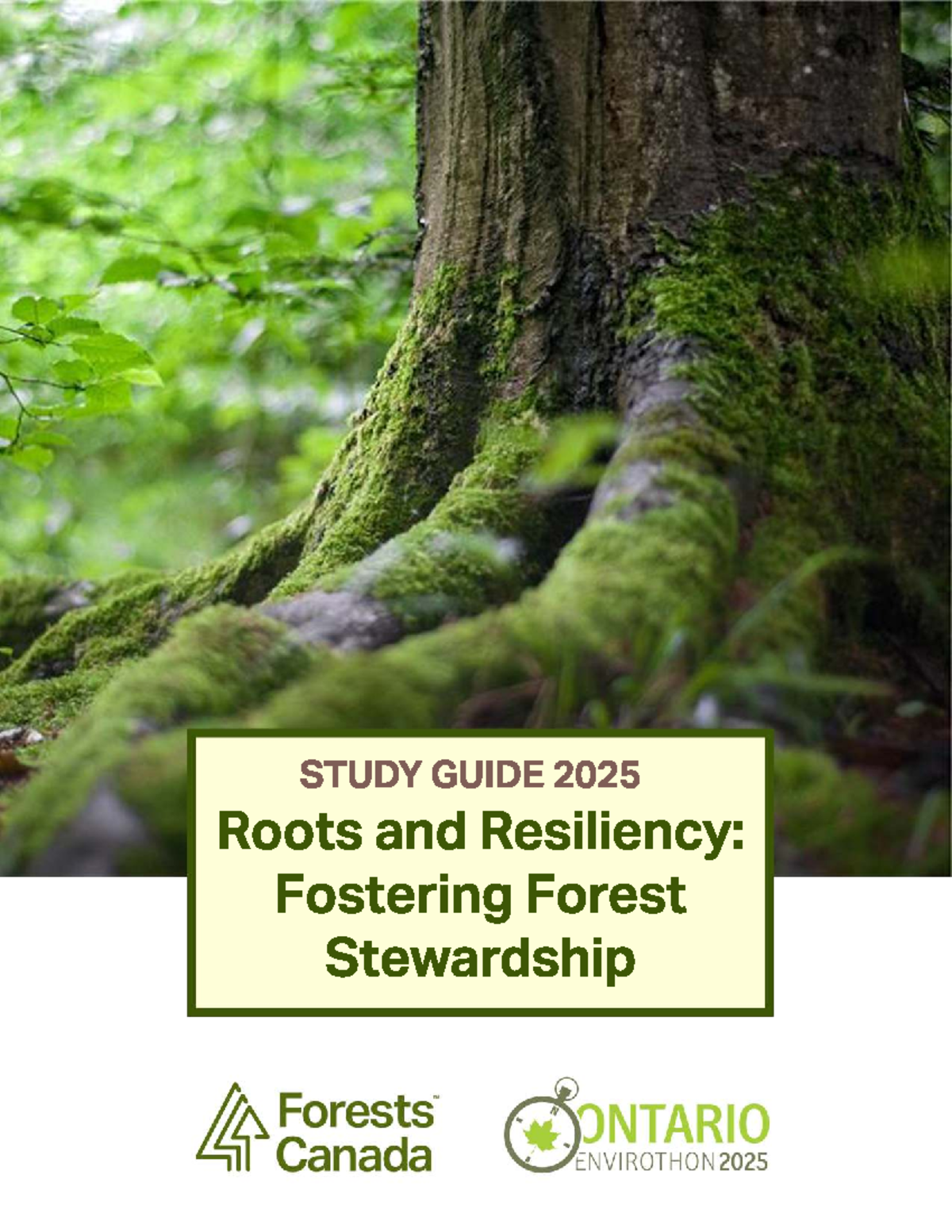 2025 Ontario Envirothon Study Guide: Roots and Resiliency in Forest ...
