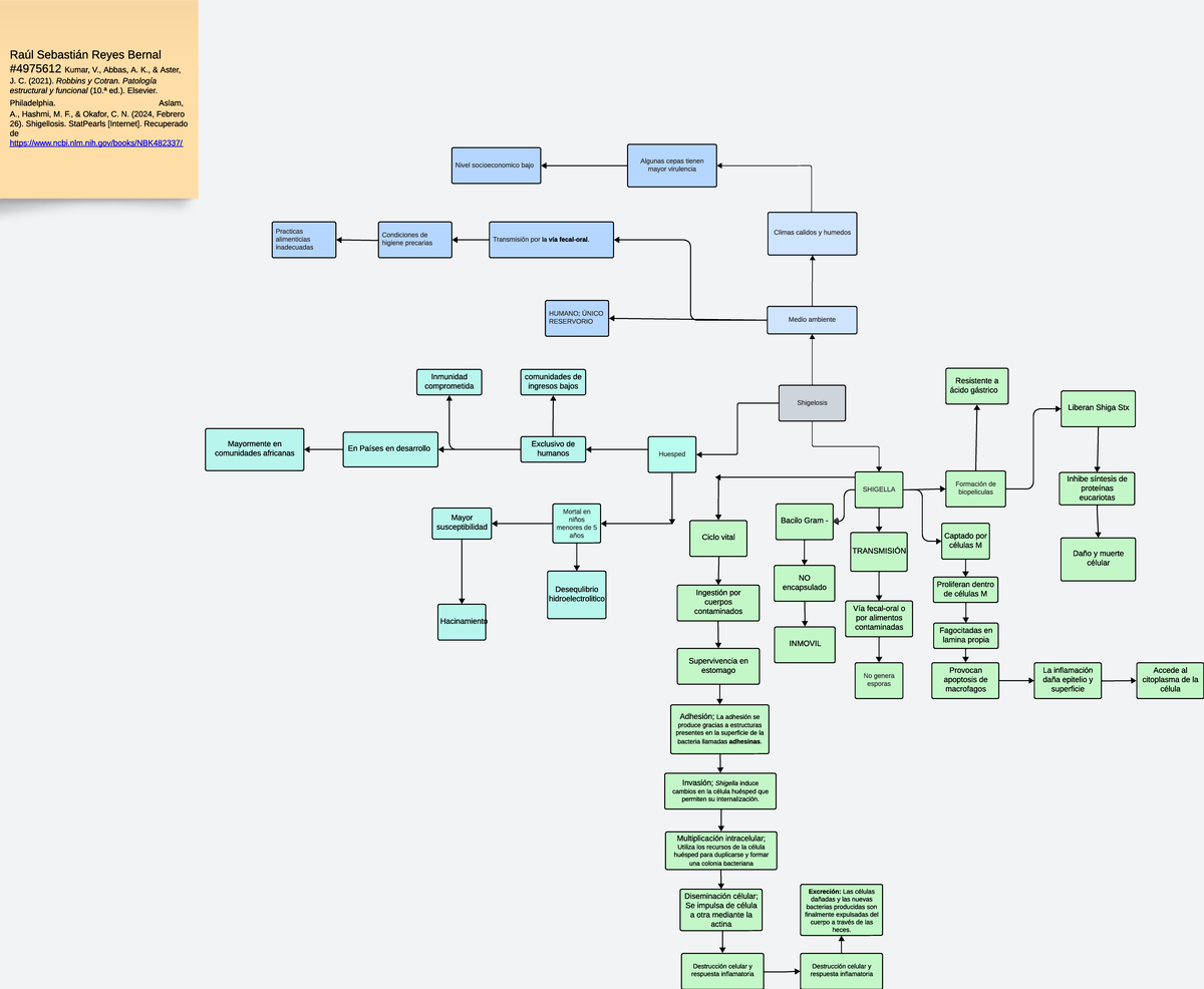 Mapa conceptual - P gina 1 - Shigelosis Medio ambiente Huesped SHIGELLA Climas calidos y humedos ...
