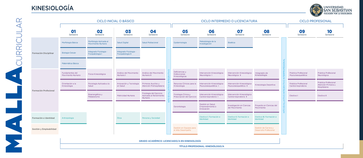 Malla kinesiologia uss 1 - MALLA CURRICULAR KINESIOLOGÍA CICLO INICIAL O BÁSICO CICLO INTERMEDIO ...