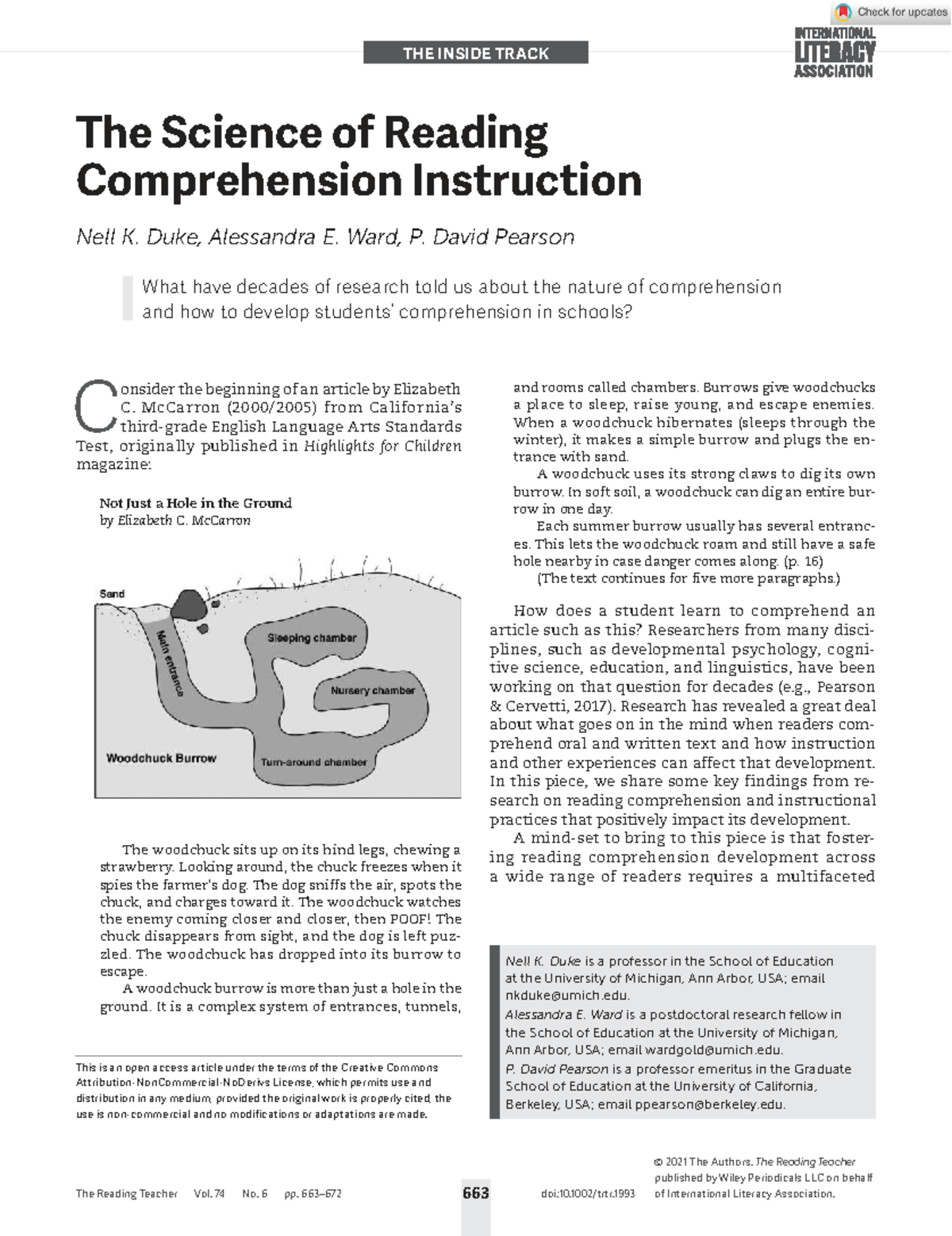 Reading Comprehension Strategies: Insights & Effective Instruction ...