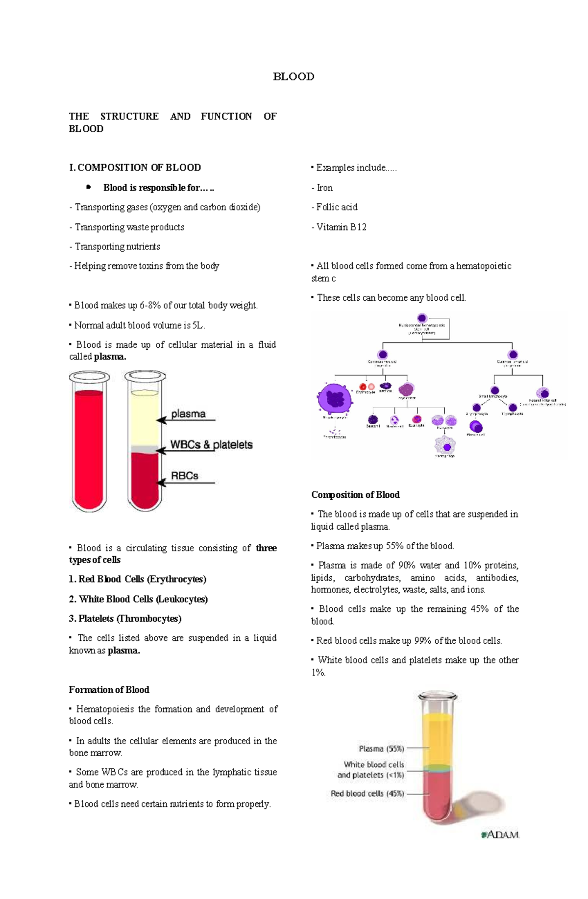 Blood - 1st Year - First Semester Notes on Structure & Function - Studocu