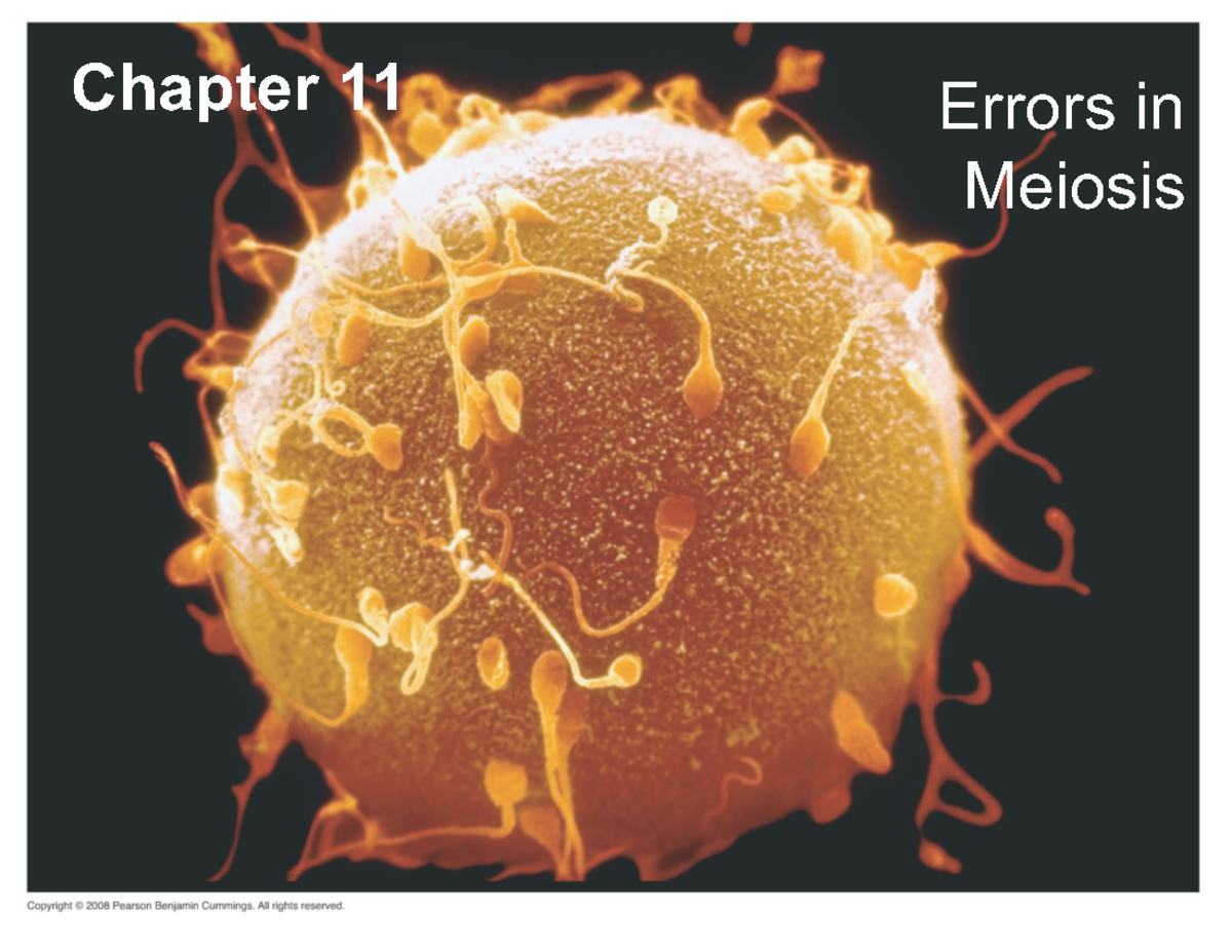 M8L3 Chapter 11: Meiosis Errors & Genetic Disorders Overview - Studocu