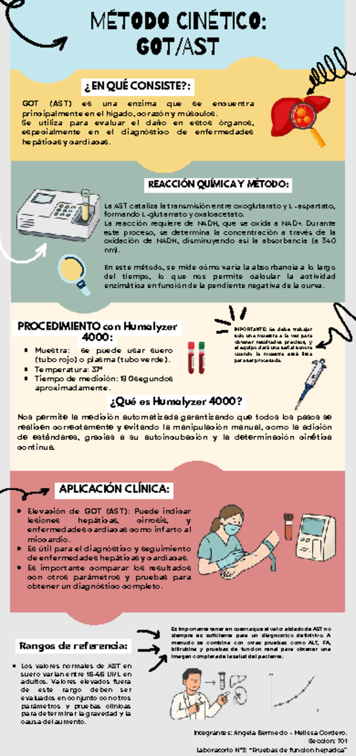 Infografía sobre el Método Cinético de GOT (AST) en Laboratorio 701 ...