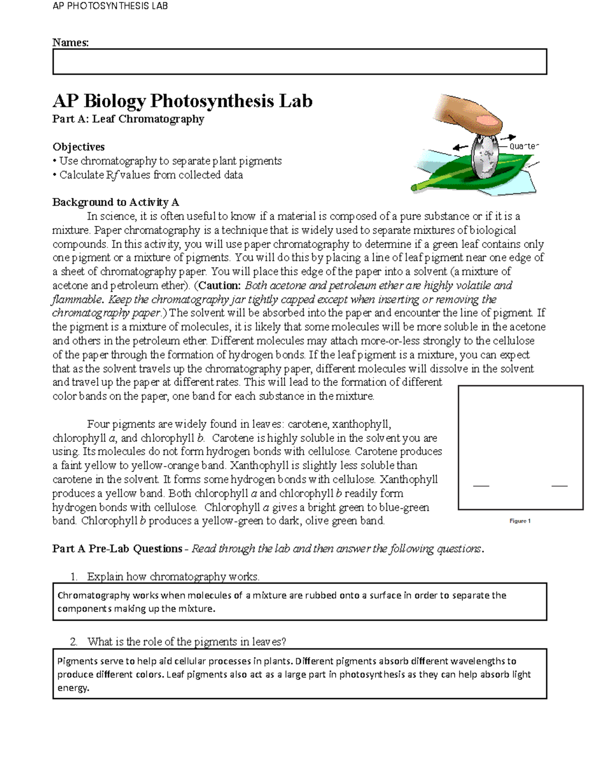 AP Biology: Photosynthesis Lab and Leaf Chromatography Analysis - Studocu