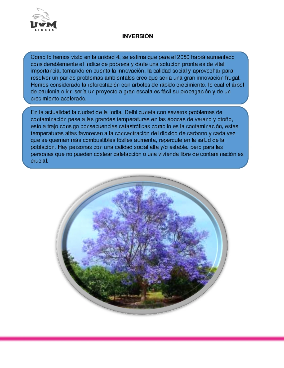 Actividad 8. Desafío - ENCESTA POR EL MEDIO AMBIENTE Contexto y ...