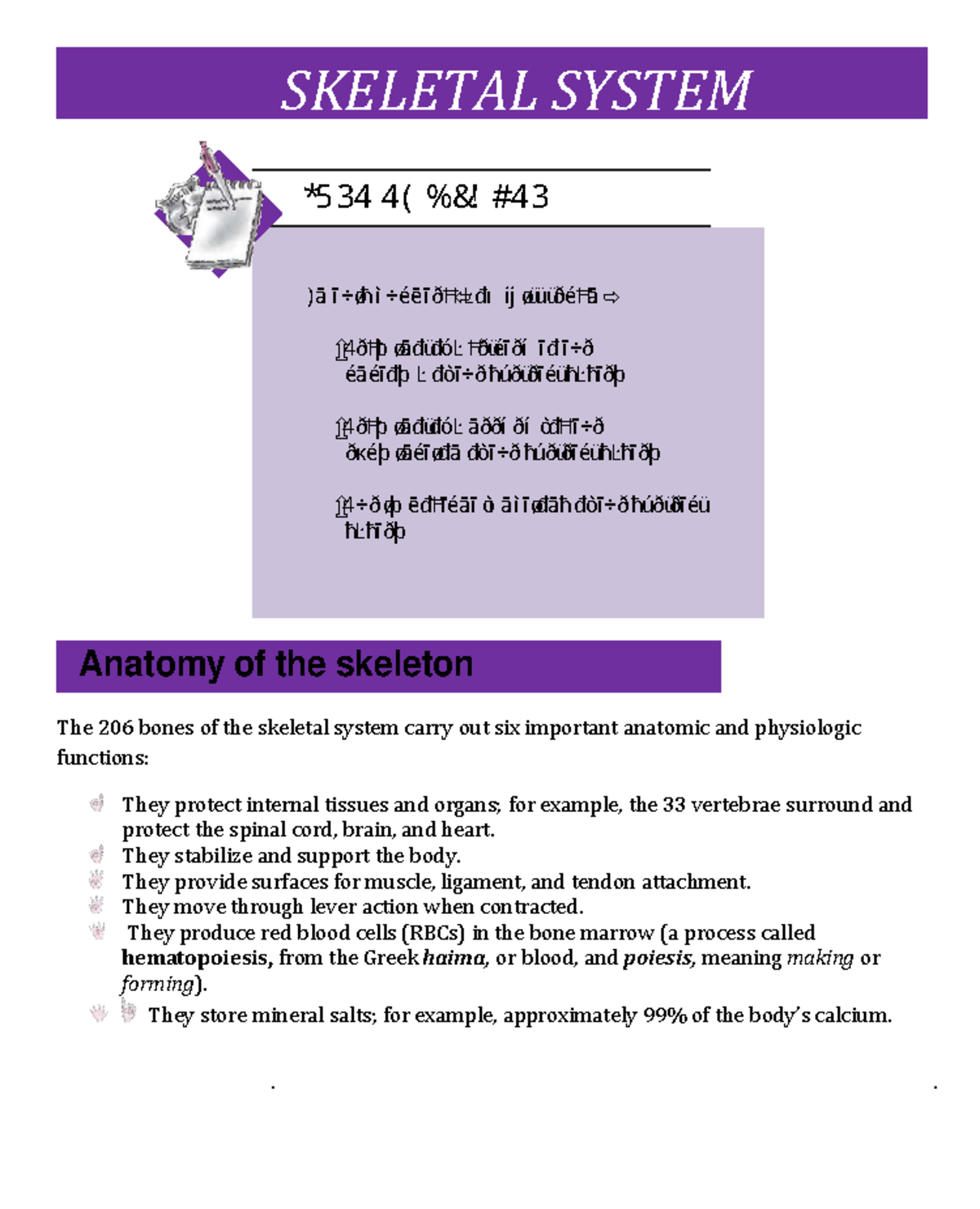 SKELETAL SYSTEM: Anatomy and Functions of the Human Skeleton - Studocu