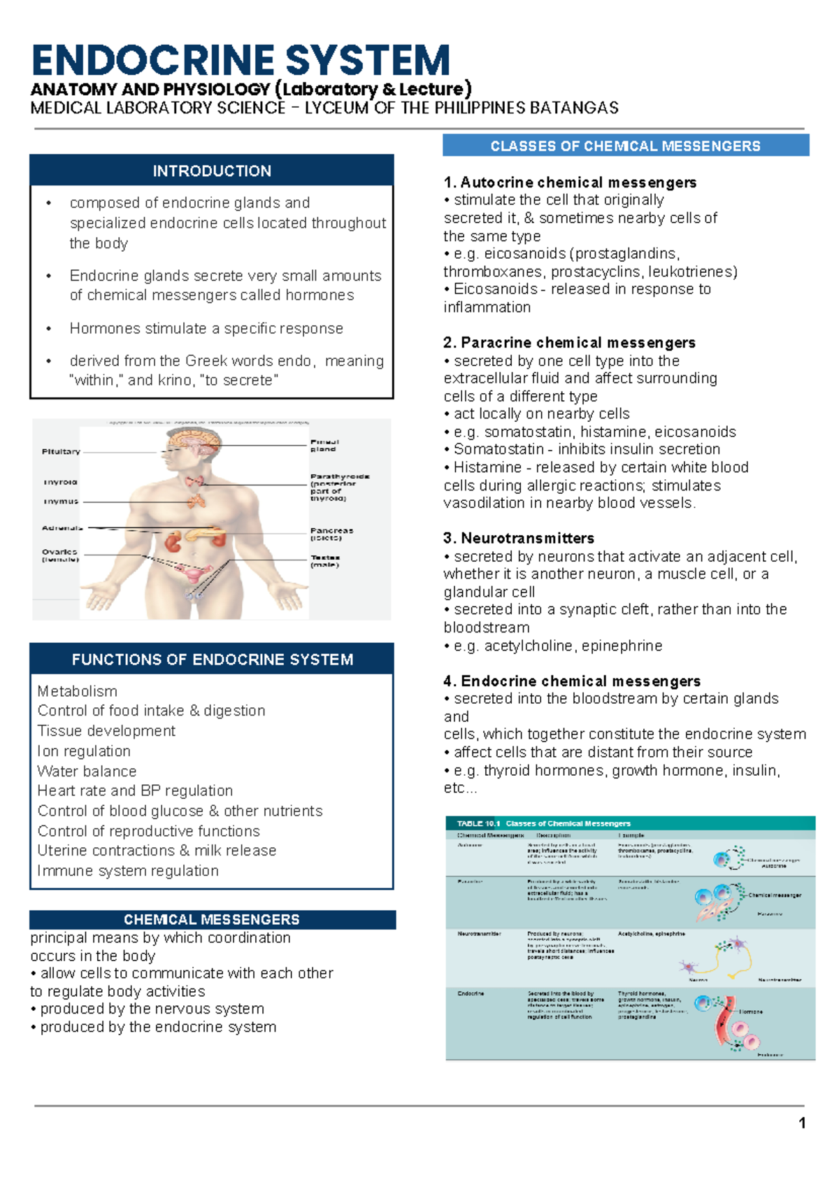Endocrine- System Anaphy - ANATOMY AND PHYSIOLOGY (Laboratory & Lecture ...