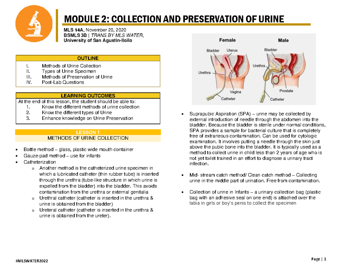AUBF LAB Module 2 Collection AND Preservation OF Urine - Page | 1 ...