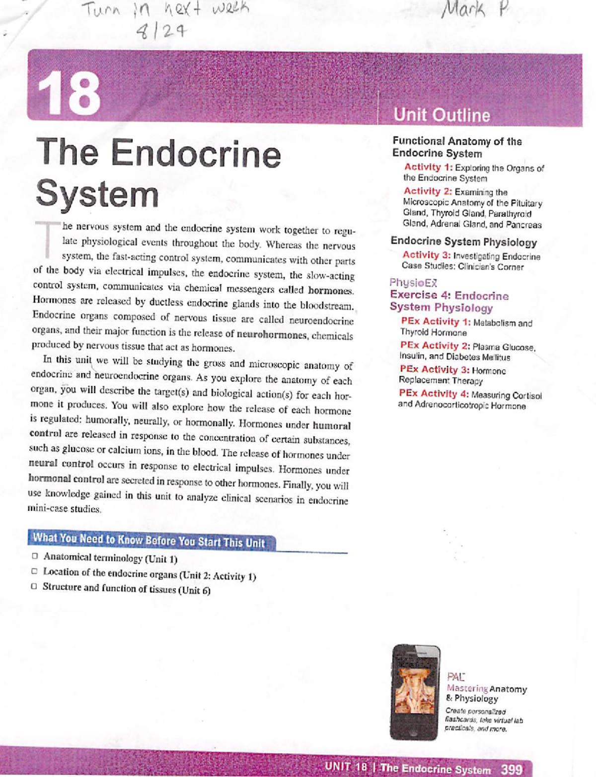 Ch 18 - Functional Anatomy of the Endocrine System Overview - Studocu