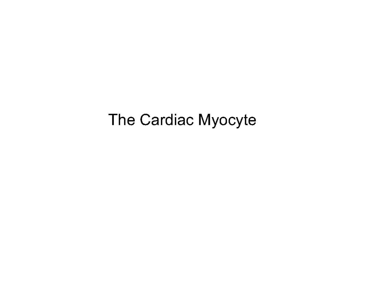 CV Chapter 3: Cardiac Myocyte Structure and Function Overview - Studocu