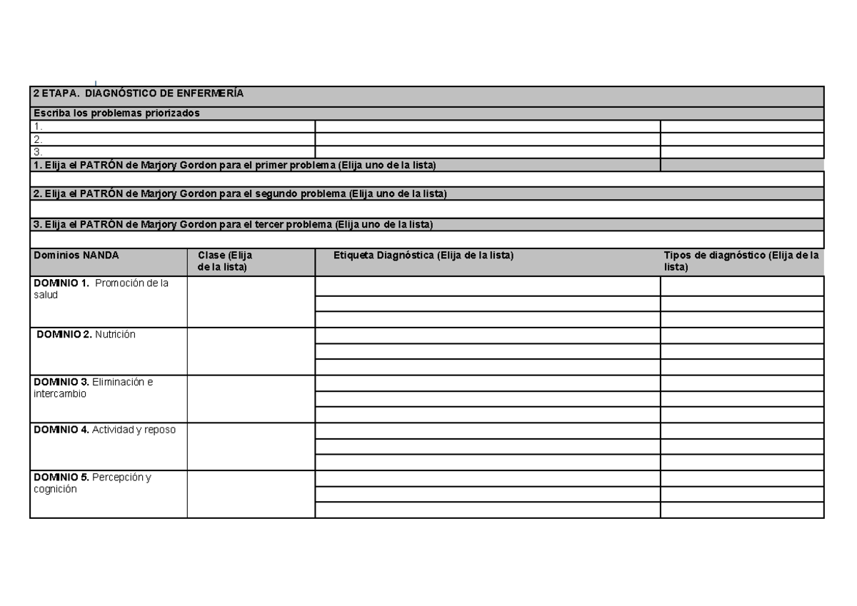 Formato PAE: Proceso de Atención de Enfermería - Diagnóstico y ...