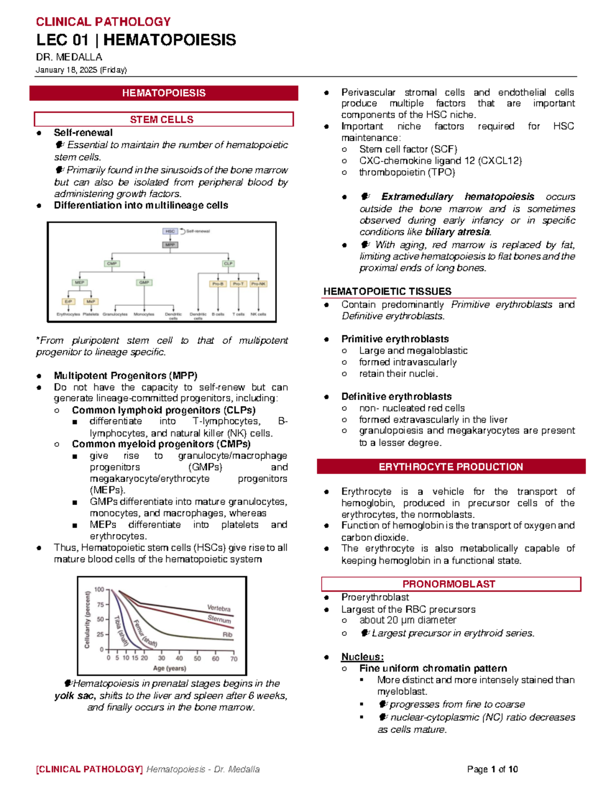 CLINICAL PATHOLOGY LEC 01: HEMATOPOIESIS NOTES BY DR. MEDALLA - Studocu