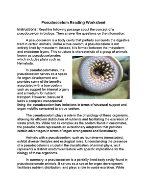 01 - Bilateral Symmetry in Animals Reading Worksheet Editable ...
