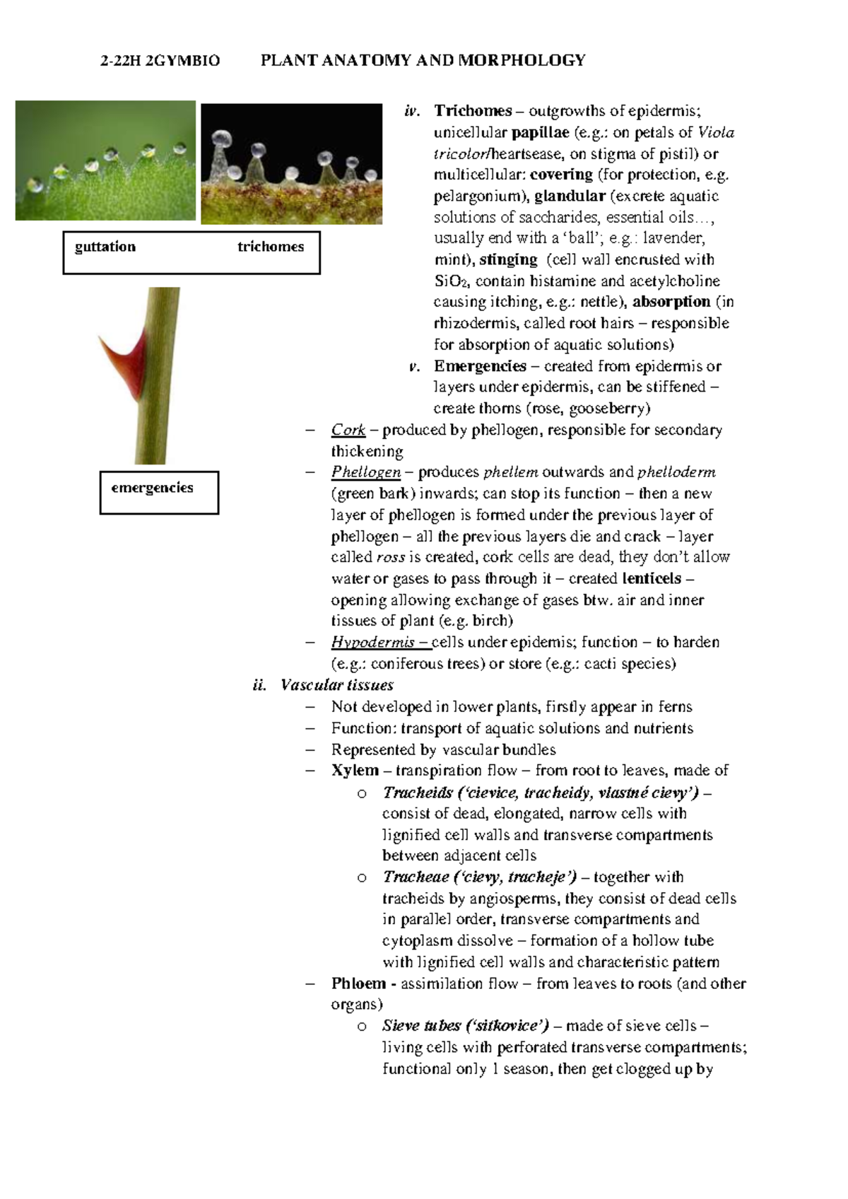 5-6H 2GYMBIO Plant Anatomy & Morphology: Trichomes & Vascular Tissues ...