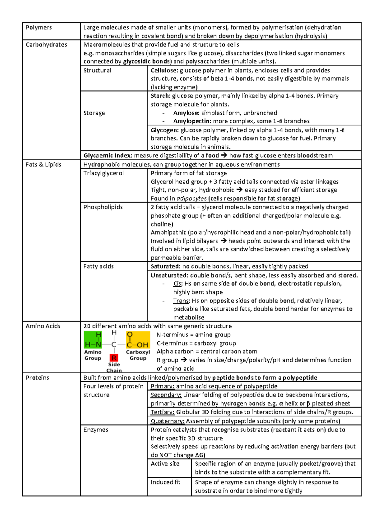 Revision-Complete-BIOL1020 - Warning: TT: undefined function: 32 Polymers Large molecules made ...