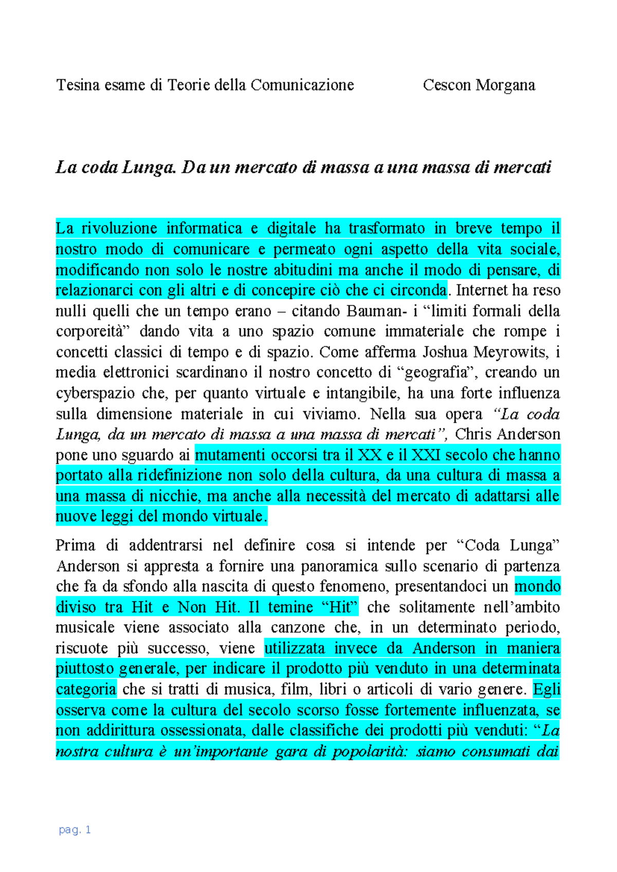Tesina Esame Teorie della Comunicazione: La Coda Lunga e il Mercato ...
