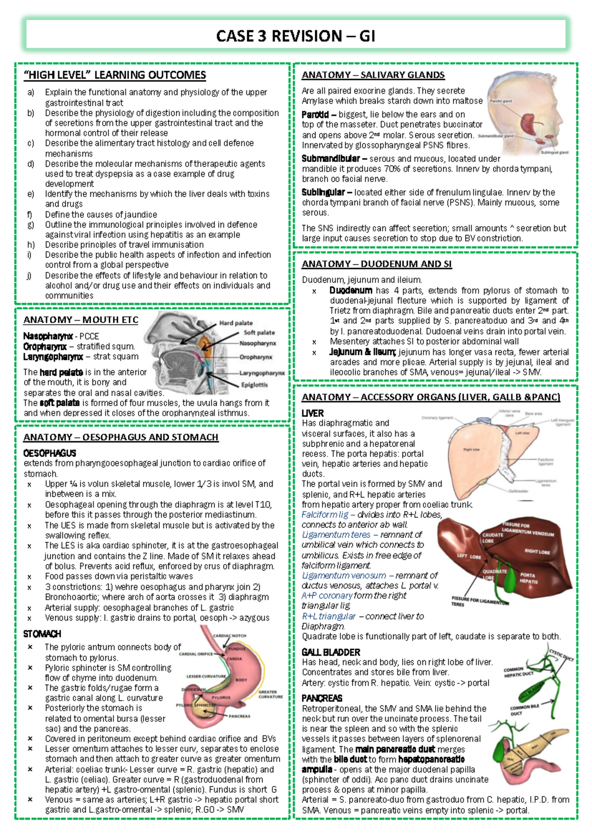 Case Study Revision – GI Anatomy Overview - Studocu