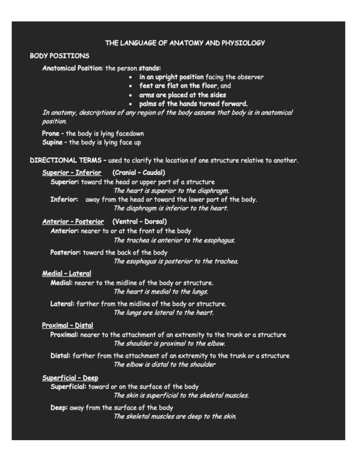 chapter 1 lecture - THE LANGUAGE OF ANATOMY AND PHYSIOLOGY BODY ...