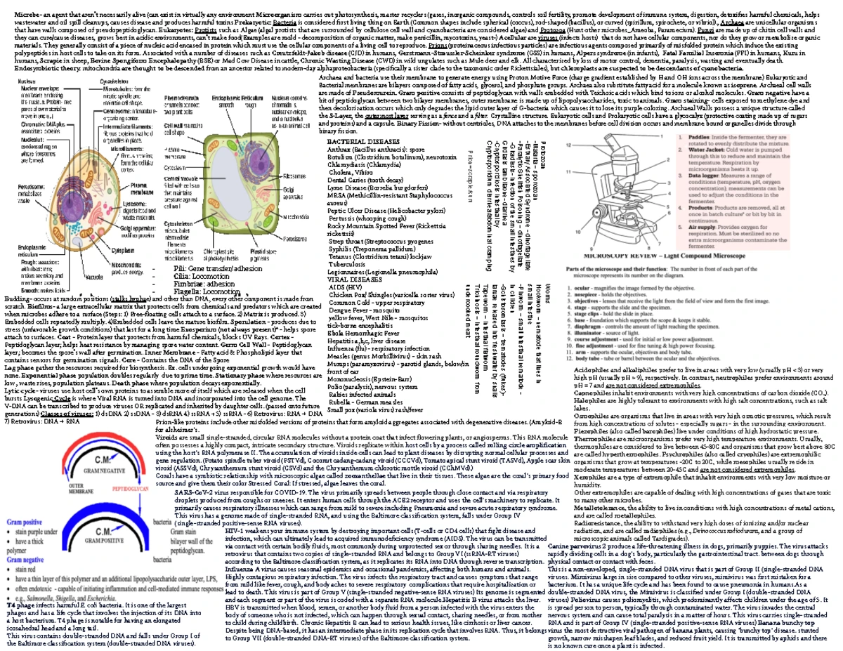 Microbe Mission Cheat Sheet (2025) - - Studocu