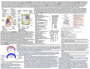 ALS Medications Cheat Sheet: Indications & Dosages for Emergencies ...