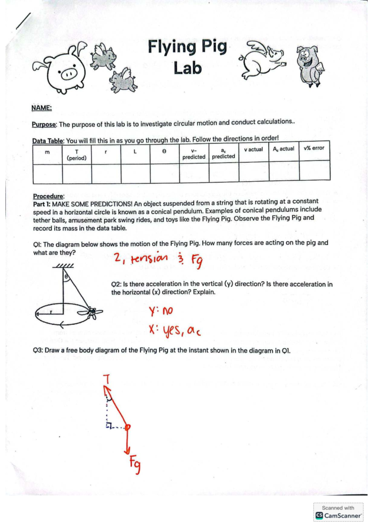 Physics Lab: Investigating Circular Motion with the Flying Pig (PT 1 ...