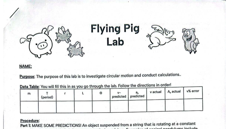 Physics Lab: Investigating Circular Motion with the Flying Pig (PT 1 ...