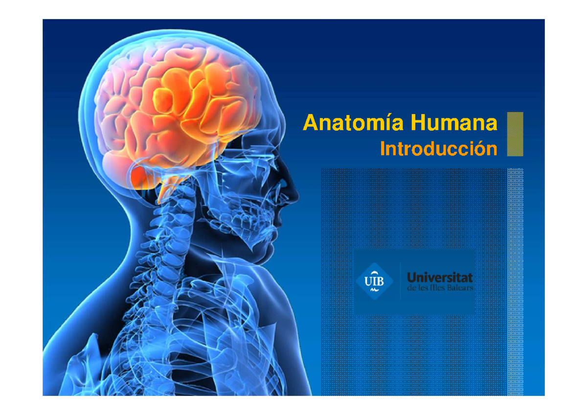 04. Anatomía Humana: Introducción y Divisiones Esenciales - Studocu