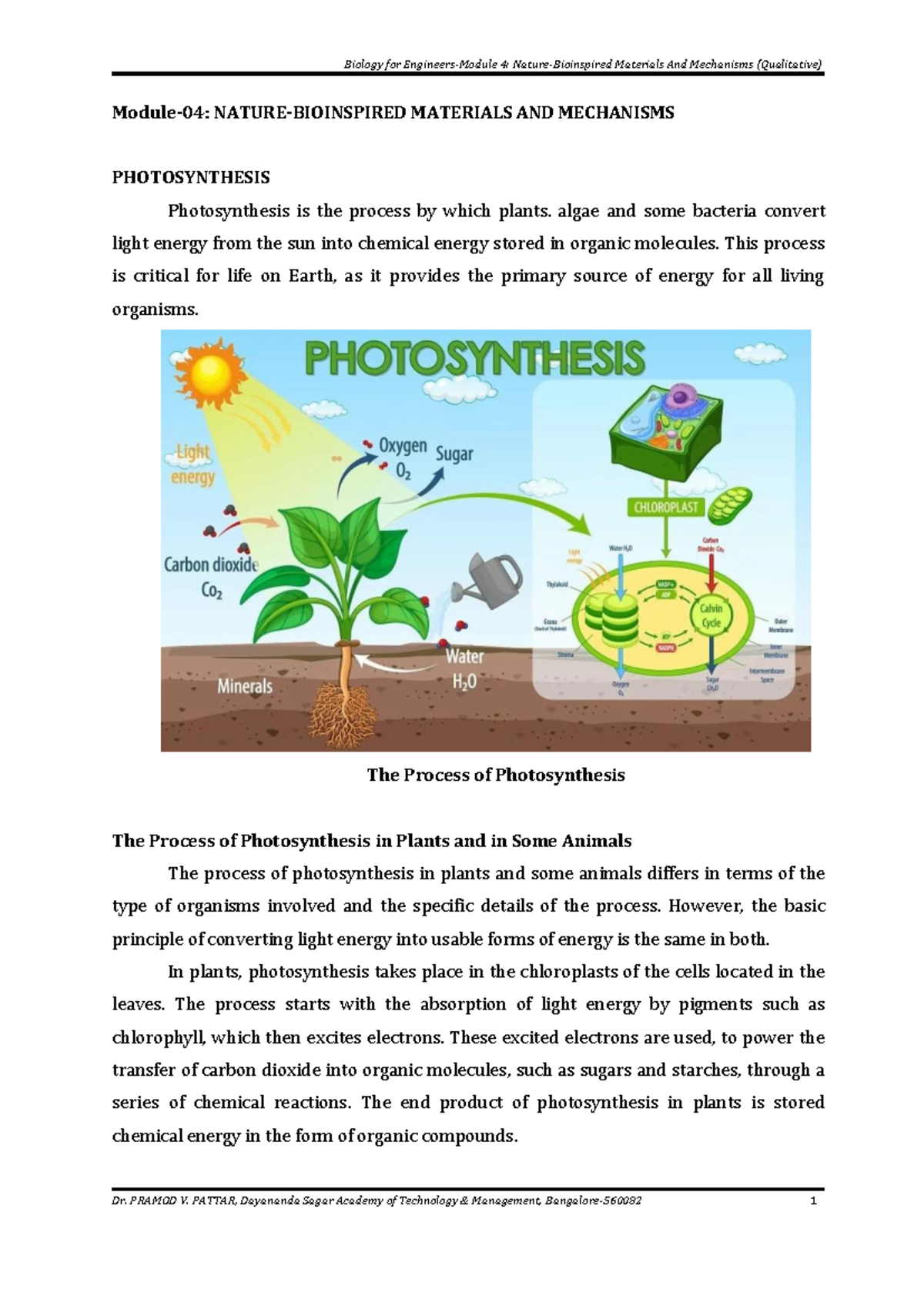 Biology for 4: Photosynthesis and Bionic Leaf Mechanisms - Studocu
