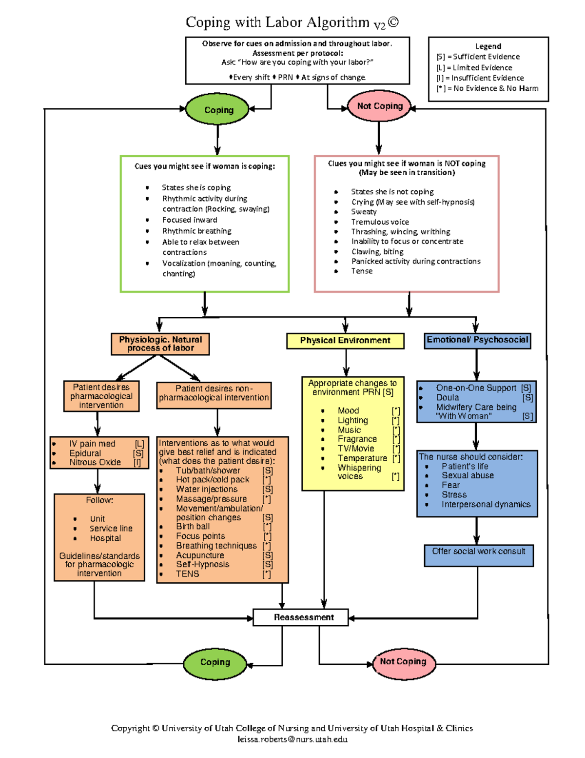 Coping with Labor Algorithm 2: Identifying Patient Needs and Cues - Studocu