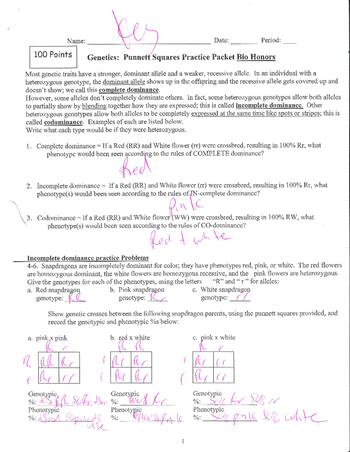 Genetics Punnett Squares Practice Packet Key and Solutions - Studocu