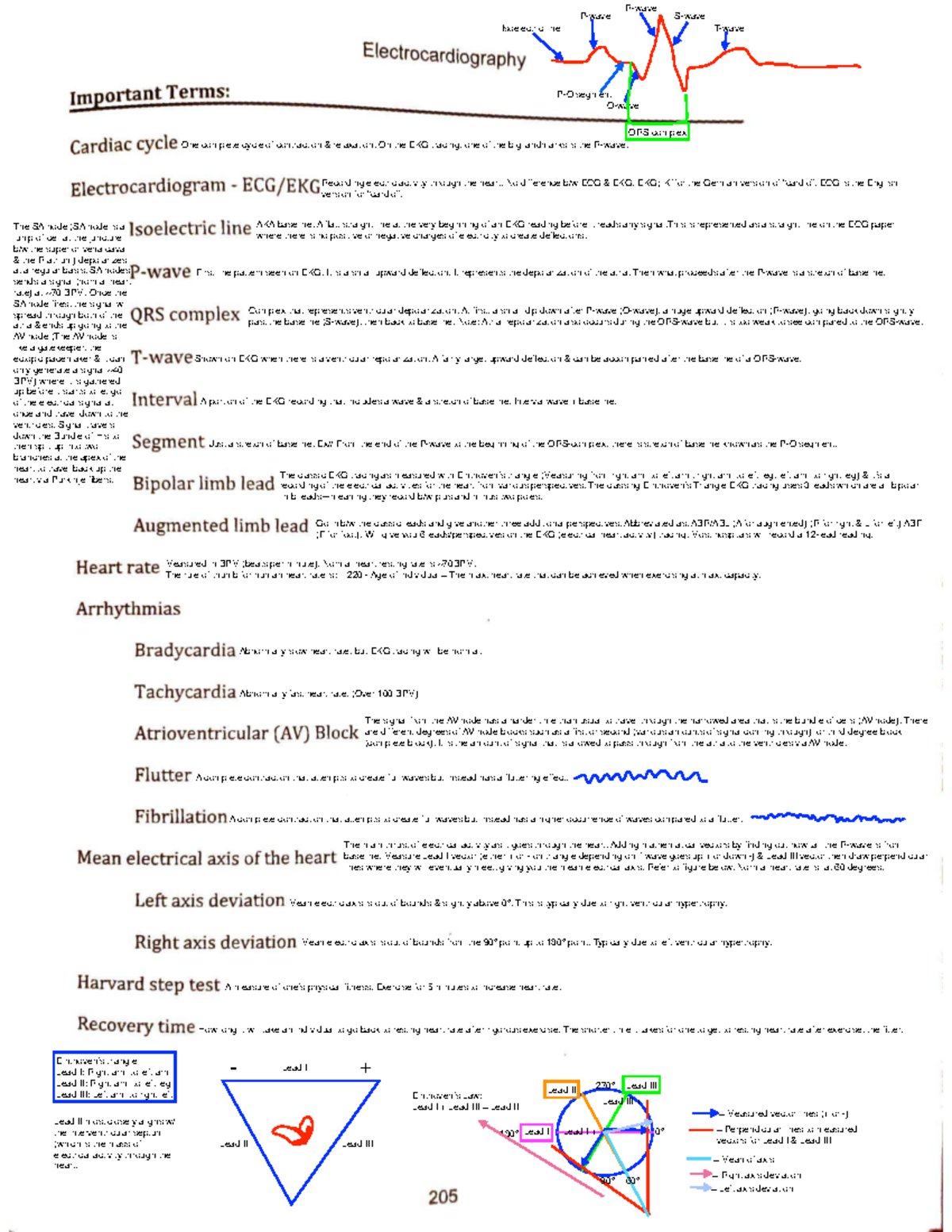 EKG/ECG analysis: Understanding the QRS complex and heart activity ...