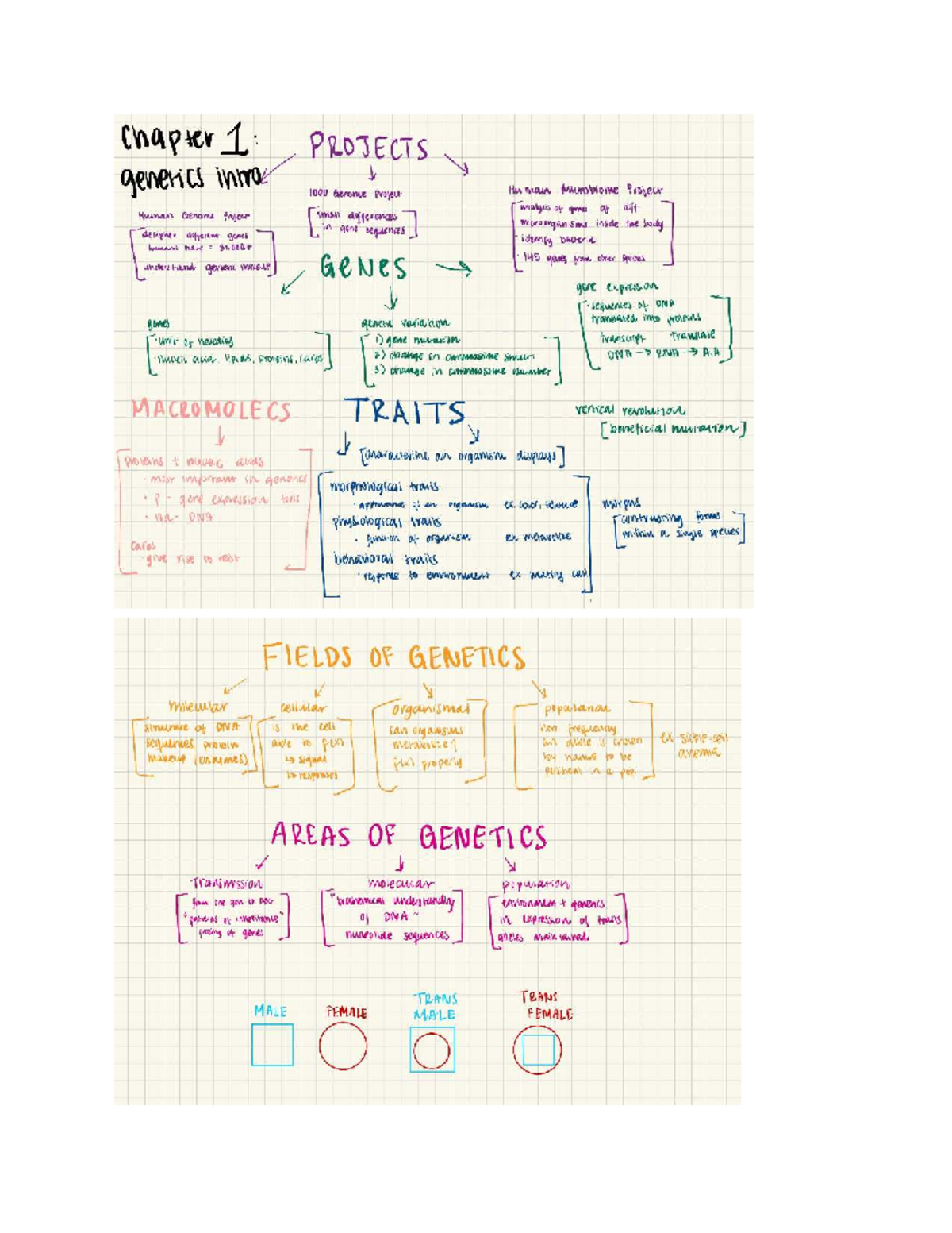 Dr. V Genetics Exam 1 Notes: Comprehensive Overview of Genetic Concepts ...