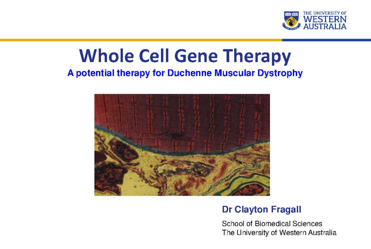 Whole Cell Gene Therapy Approaches for DMD (Duchenne Muscular Dystrophy ...