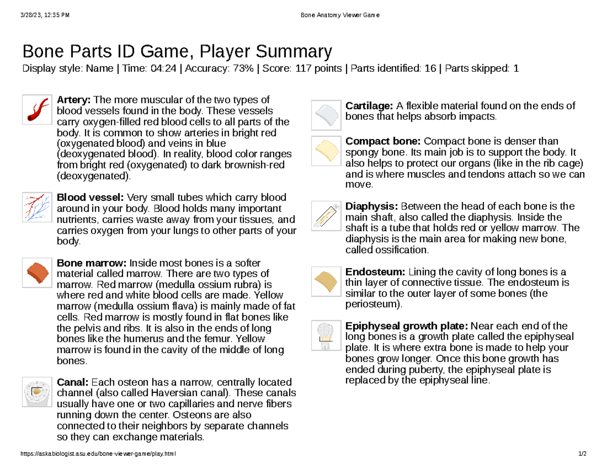 Bone Anatomy Viewer Game: Interactive Learning Overview - Studocu