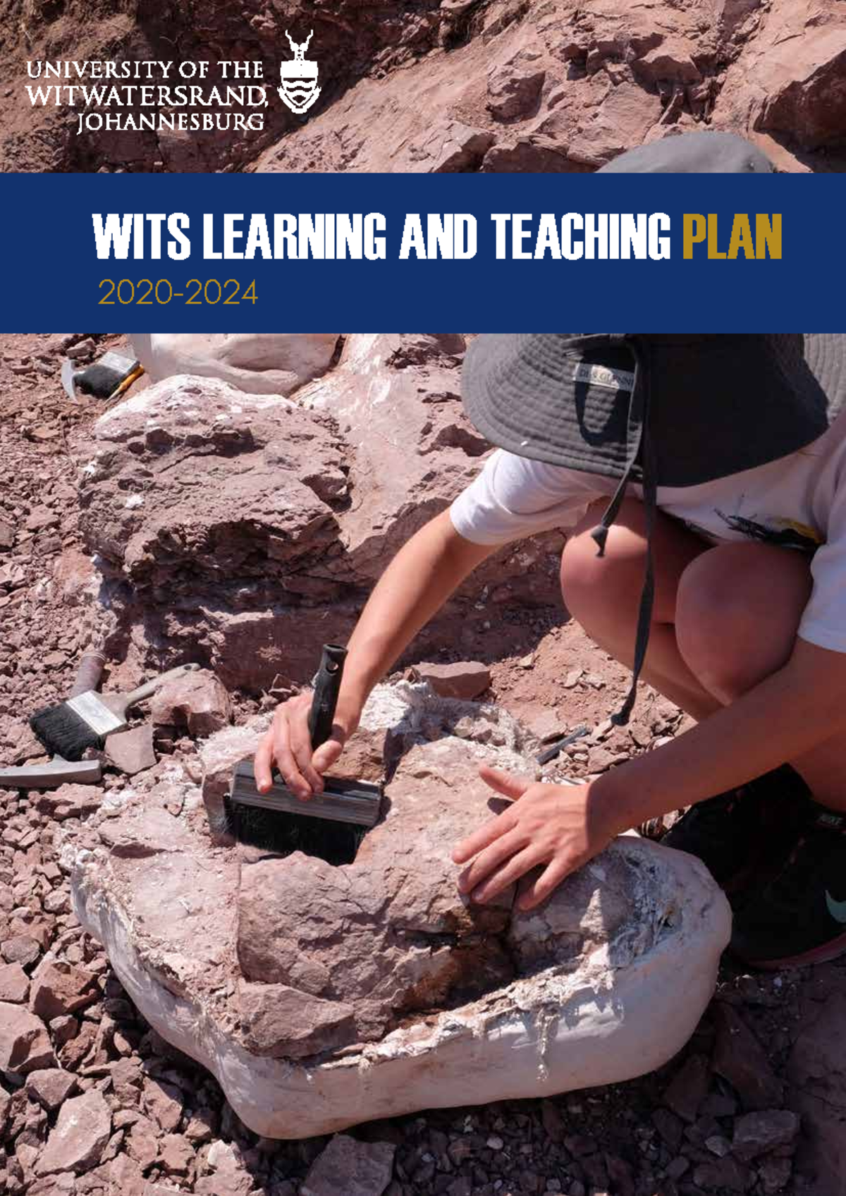 Wits Learning and Teaching Plan 2020-2024: Vision for Higher Ed Success ...