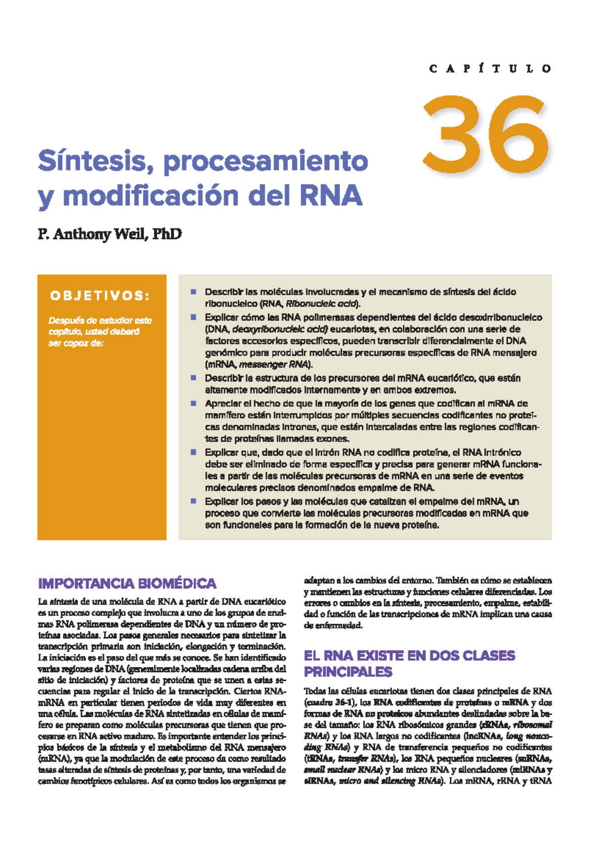 Capítulo 36: Síntesis y Procesamiento del RNA - Resumen Bioquímica ...