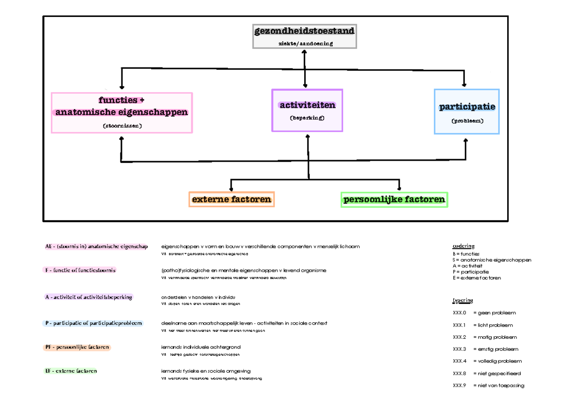 ICF + Interpretatie: Overzicht van Anatomische Eigenschappen en - Studocu