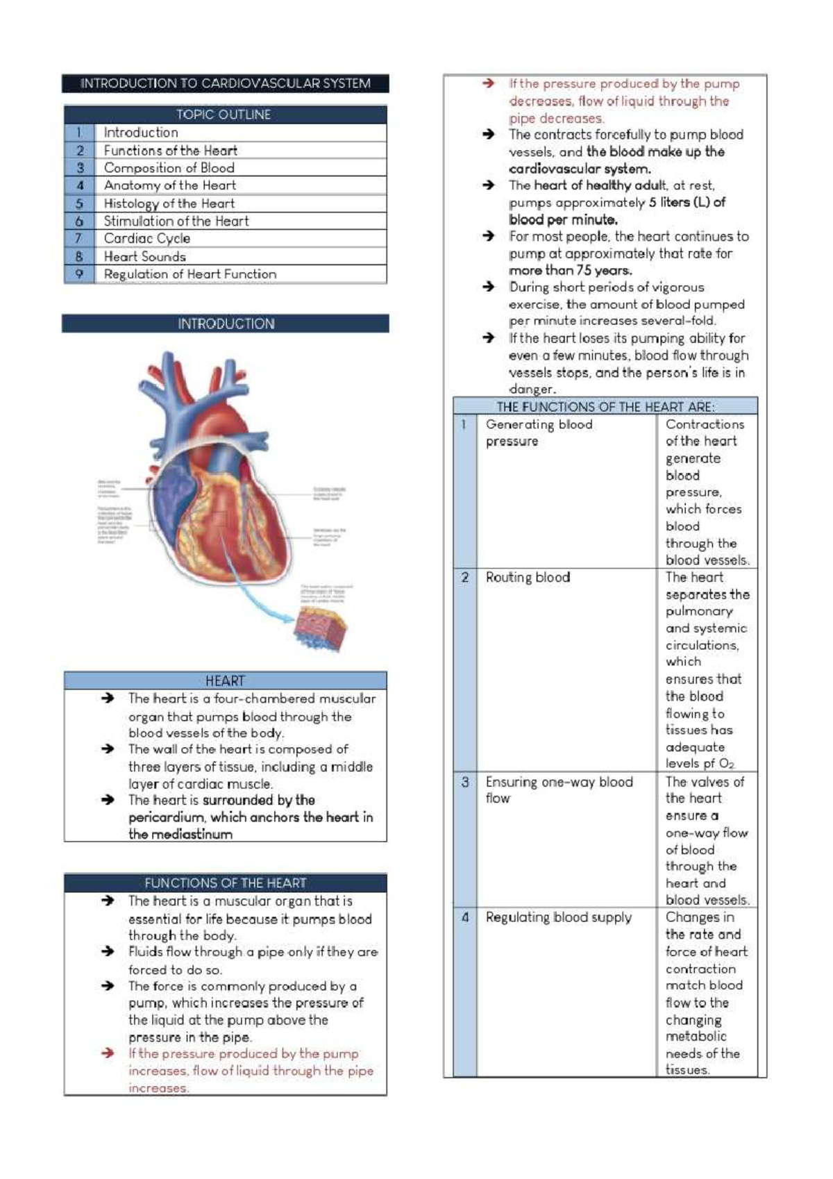 Cardiovascular System Overview: Anatomy, Functions, and Regulation - Studocu