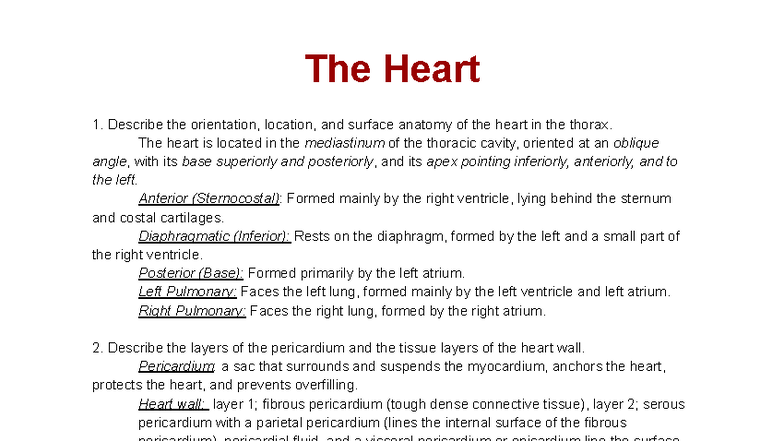 Chapter 19 Study Guide: The Heart Anatomy & Physiology (A&P) - Studocu