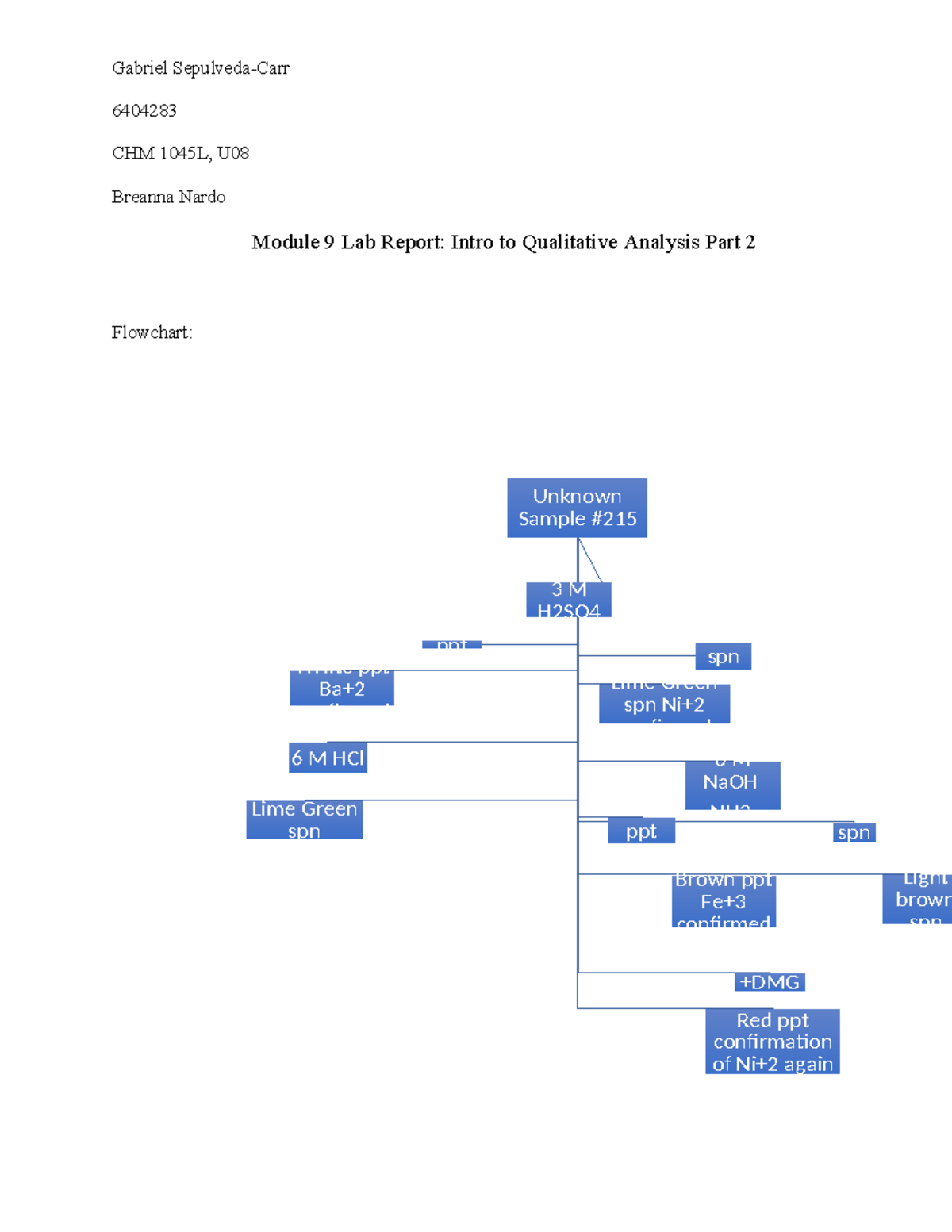 Module 9 Lab Report: Qualitative Analysis of Unknown Ions (CHM 1045L ...