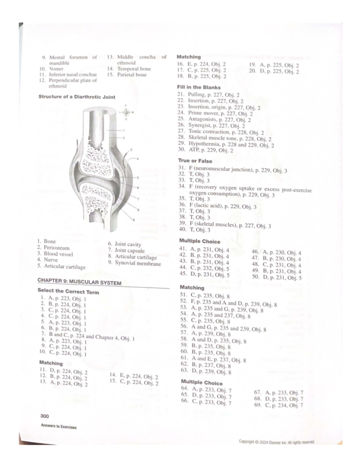 CH 9: Muscular System Answers and Key Concepts - Studocu