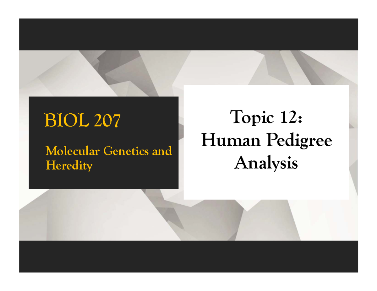 BIOL 207 Final Exam: Human Pedigree Analysis in Genetics - Studocu