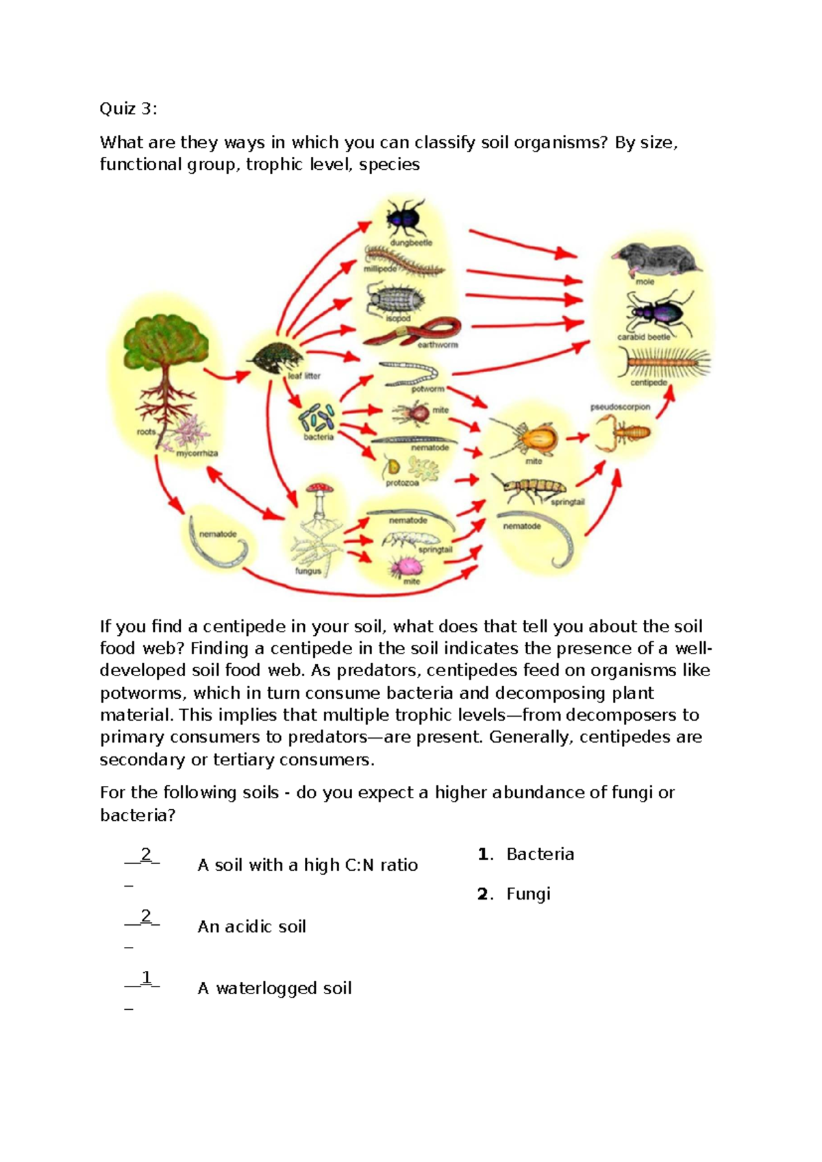 Quiz 3: Classifying Soil Organisms and Their Roles in Ecosystems ...