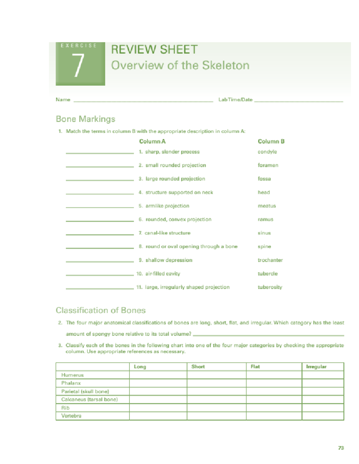 Exercise 7: Understanding the Human Skeleton Anatomy - Studocu